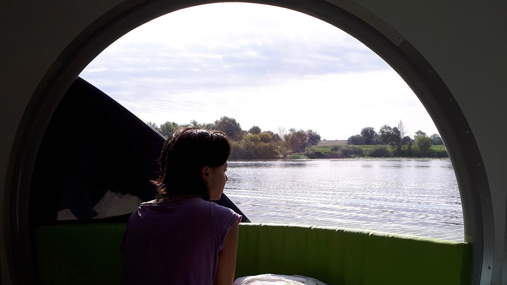 Technologies - sCarabane by Green Cat Technologies