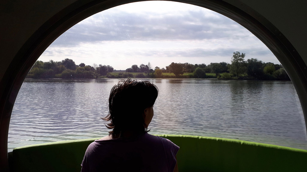 Technologies - sCarabane by Green Cat Technologies